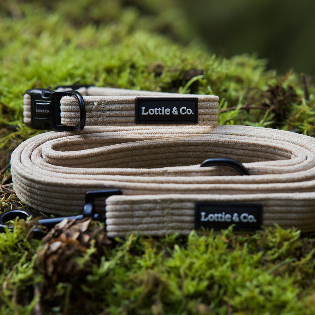 Lottie & Co | Neutral Corduroy Dog Collar and Lead Set – Lottie ...