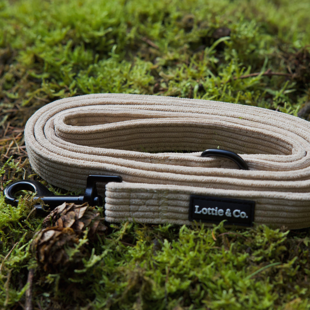 Lottie & Co | Neutral Corduroy Dog Lead – Lottie & Companions